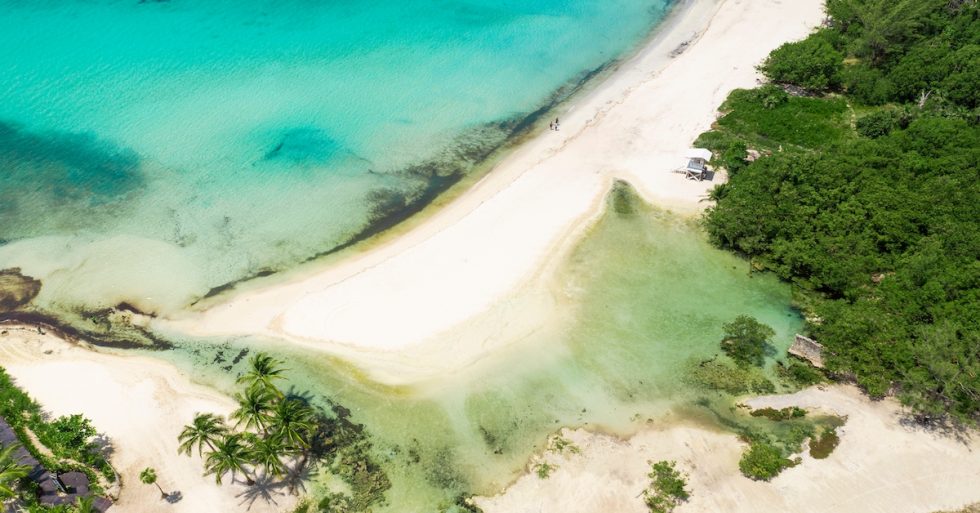 Quinta Avenida en Playa del Carmen ¿qué hay y cuándo ir?
